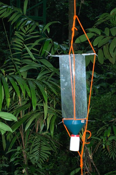 Flight Interception Traps - ButterflyTraps